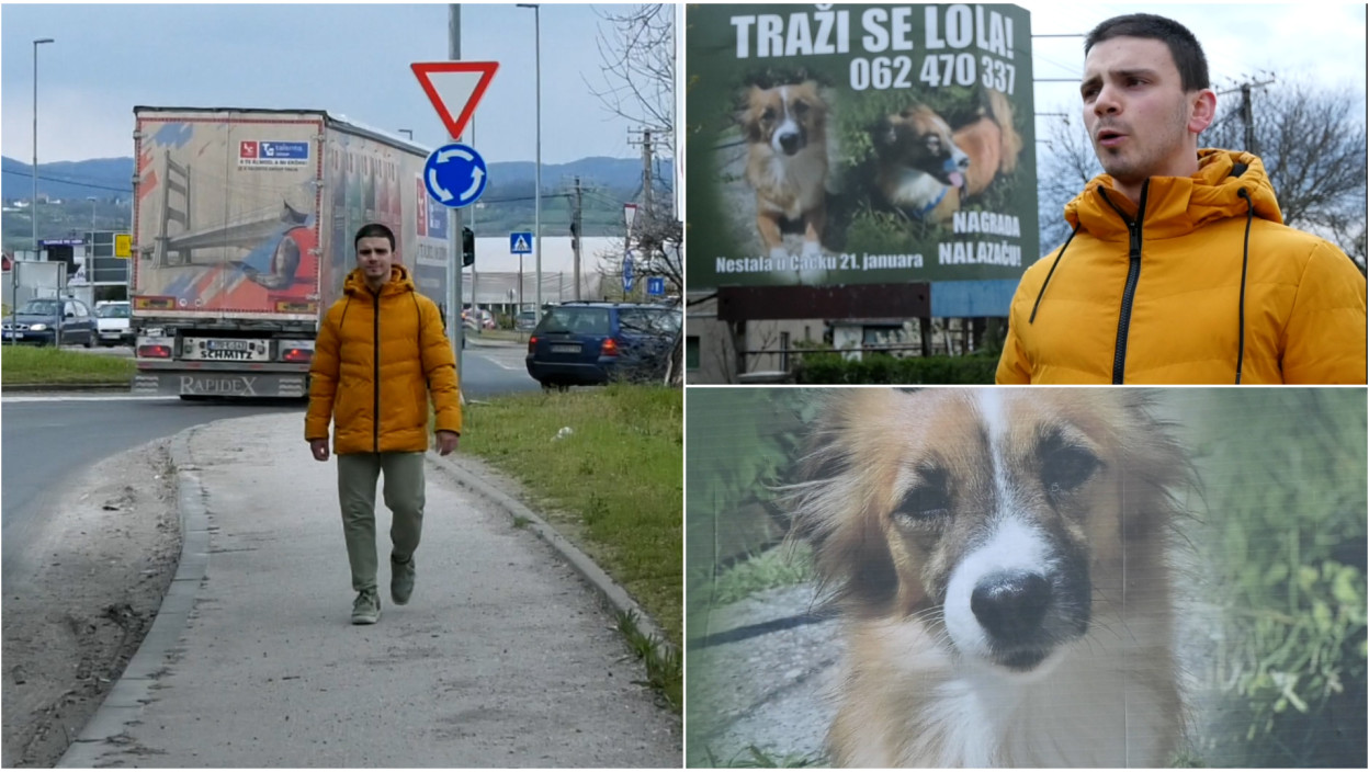 Marko od januara traži svoju ljubimicu Pretresao ceo Čačak i Kraljevo, a sada je odlučio da ...